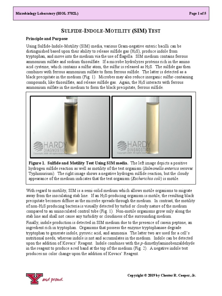 Sim Test Microbiology