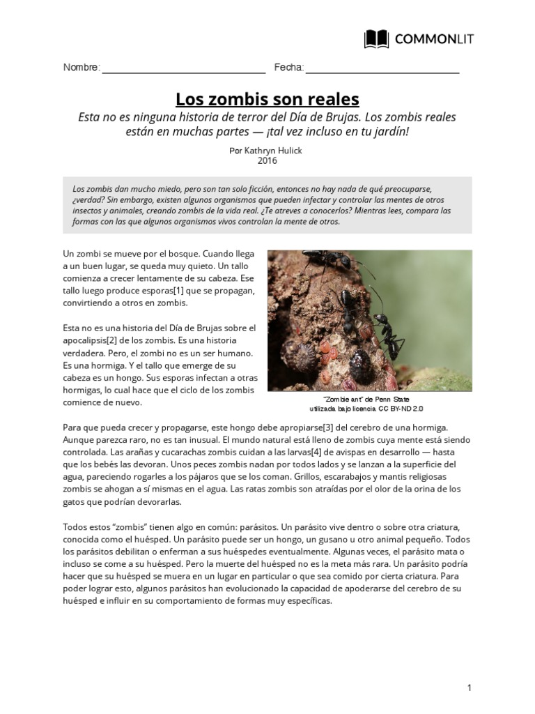 ¡Los Zombis Son Reales! Comprensión Lectora 1° Secundaria | PDF ...