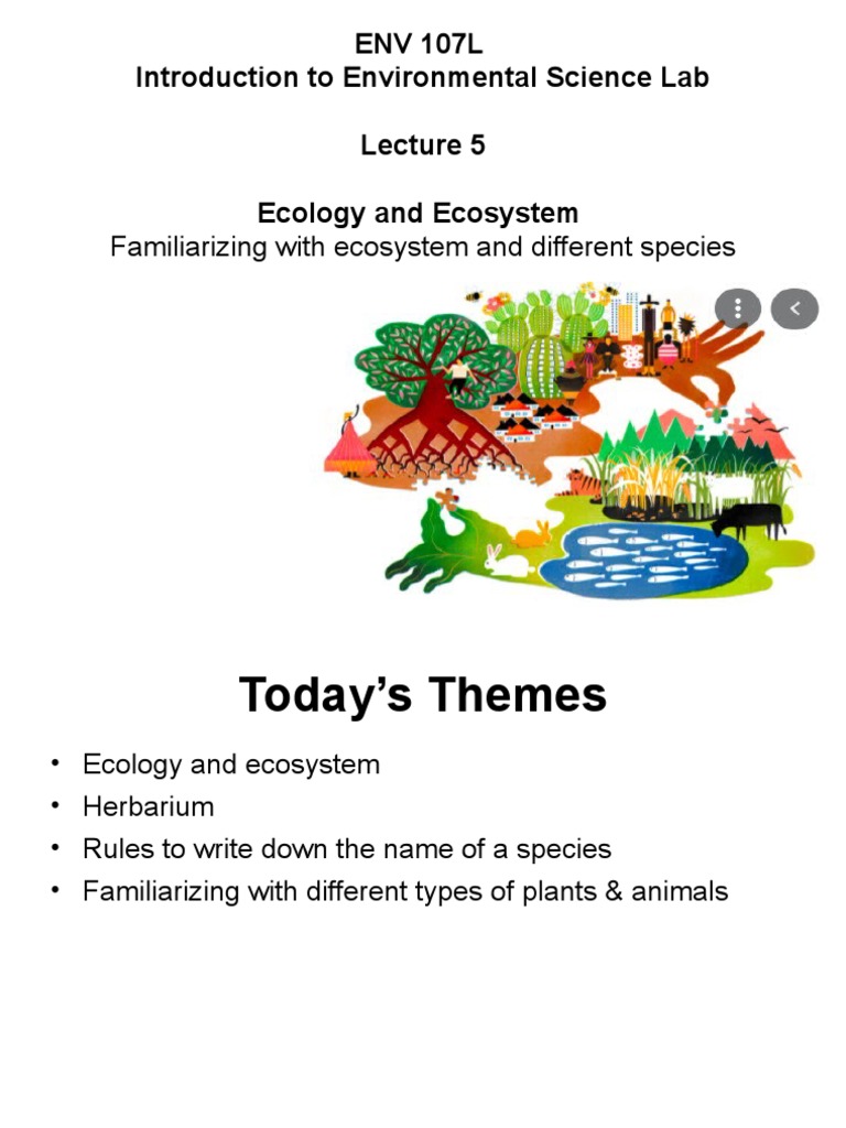 Introduction To Environmental Science Lab: ENV 107L | PDF | Leaf | Amphibian