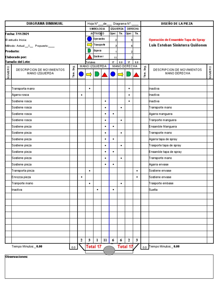 Formato Formulado Diagrama Bimanual | PDF