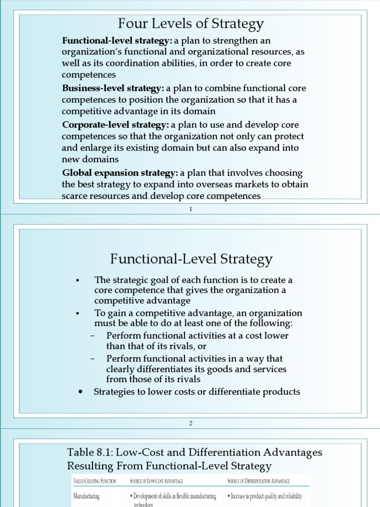 Four Levels of Strategy: Functional-Level Strategy: A Plan To ...