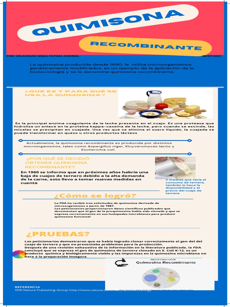 Quimisona | PDF | Leche | Biología