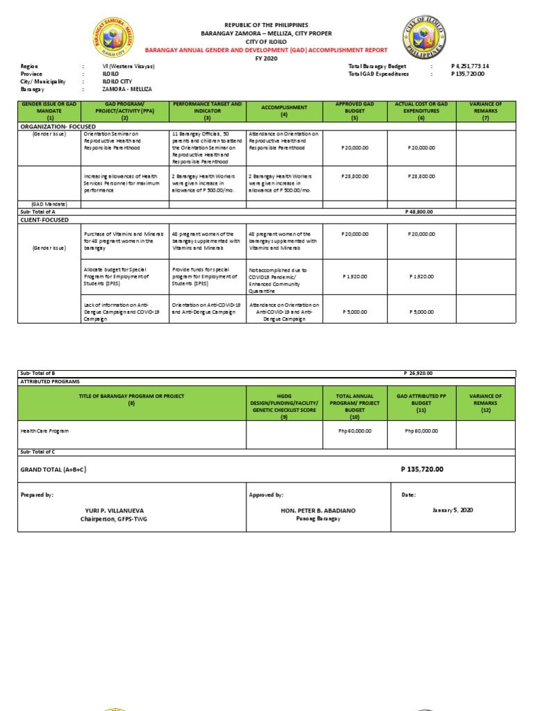 GAD Plan & Accomplishment 2021 | PDF | Health Sciences
