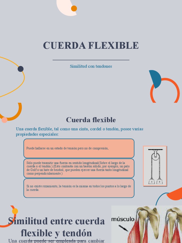Cuerda Flexible | PDF | Tendón | Mecánica