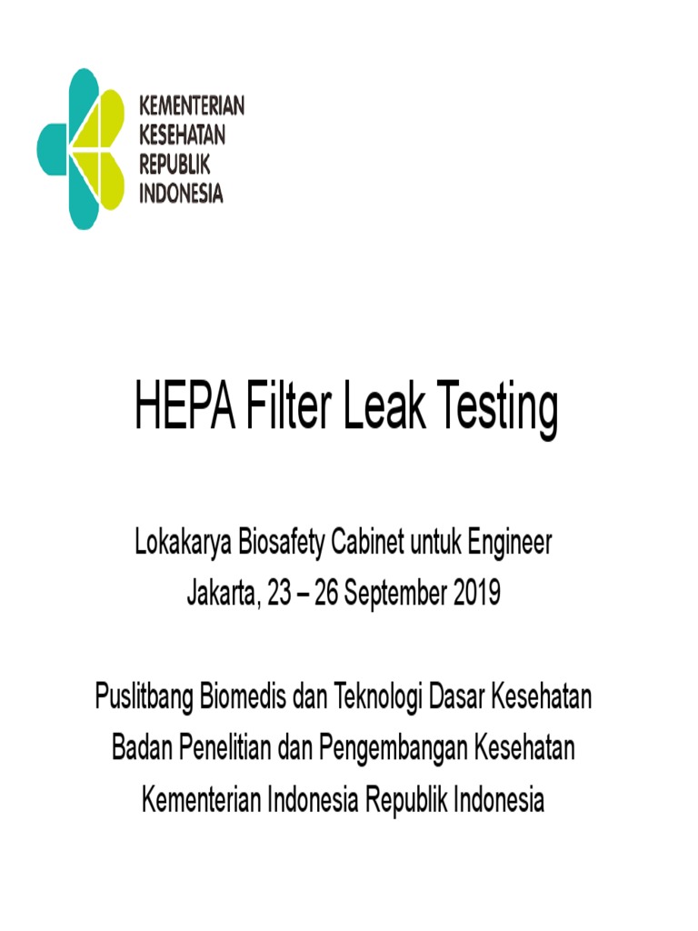 HEPA Filter Leak Testing - Sore | PDF