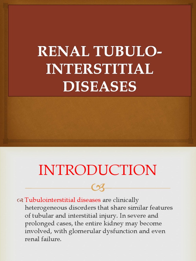 Tubulointerstitial Diseases Overview | PDF | Kidney Disease | Kidney