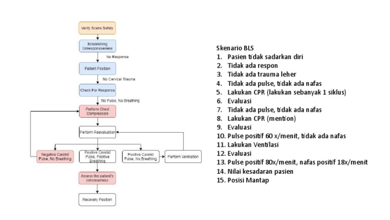 Pedoman Langkah-langkah Bantuan Hidup Dasar untuk Kasus Gangguan ...