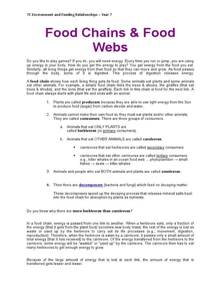 Food Chains & Food Webs: 7C Environment and Feeding Relationships ...