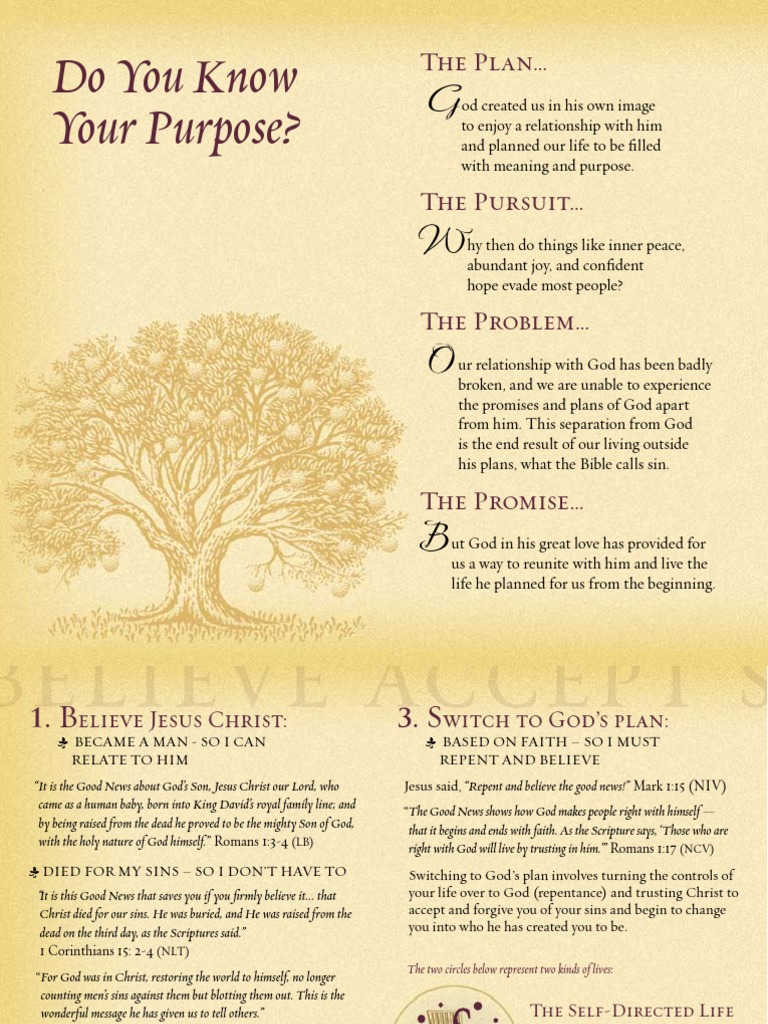 Do You Know Your Purpose?: The Plan | PDF | The Gospel | Sin