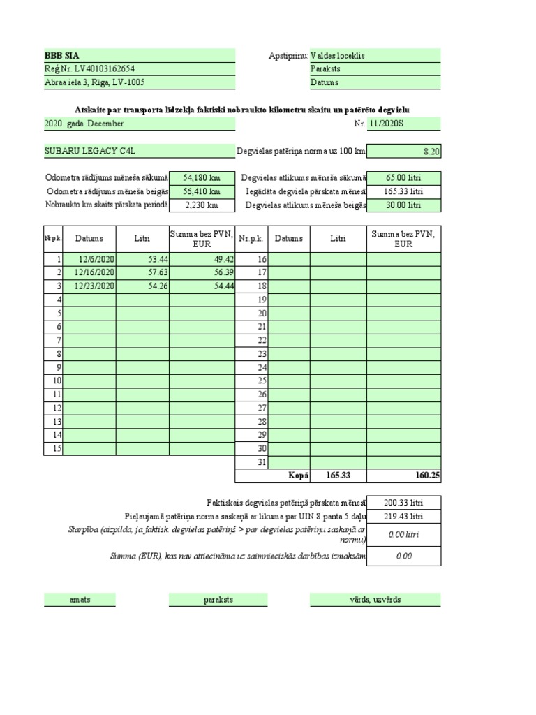 Atskaite Automasina | PDF