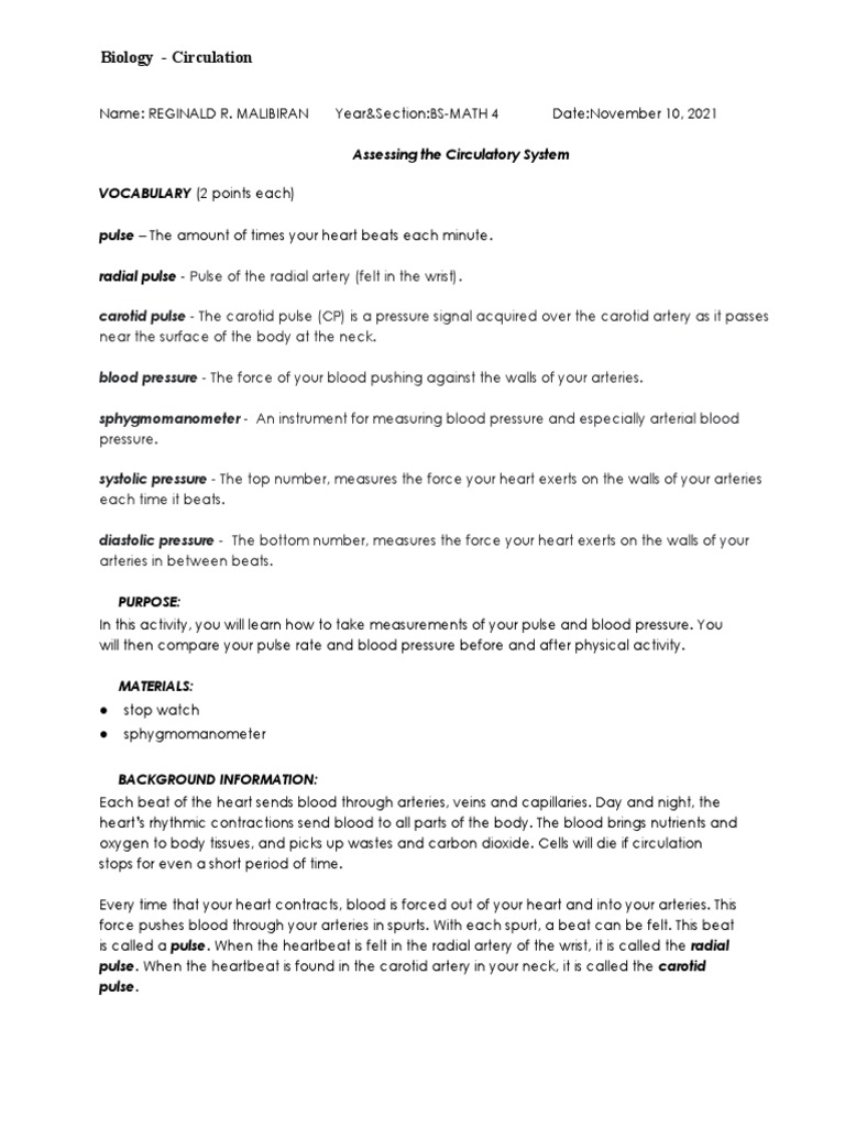 Circulatory System Activity | PDF | Blood Pressure | Pulse