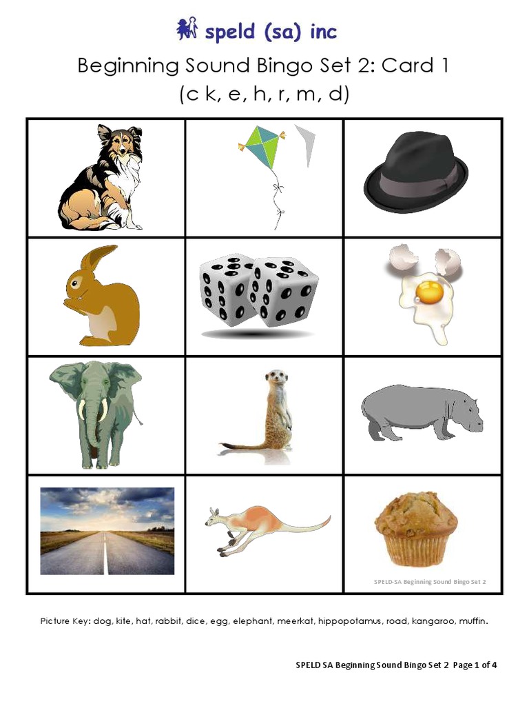 Beginning Sound Bingo Set 2: Card 1 (C K, E, H, R, M, D) | PDF
