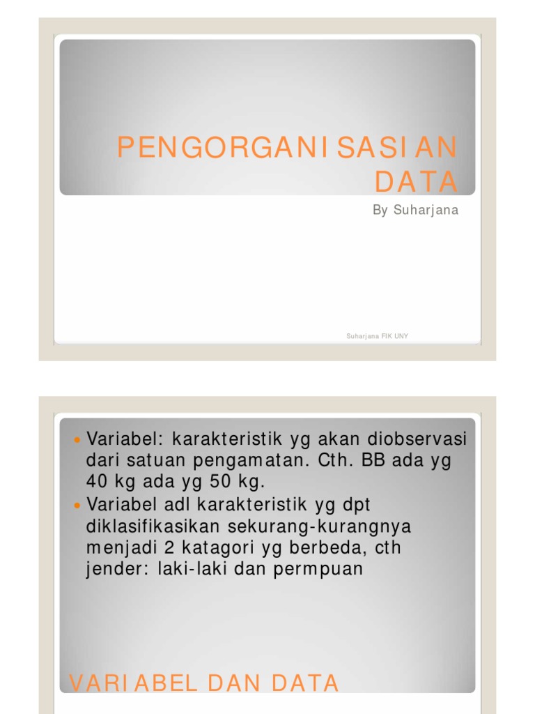 Pengorganisasian Data | PDF