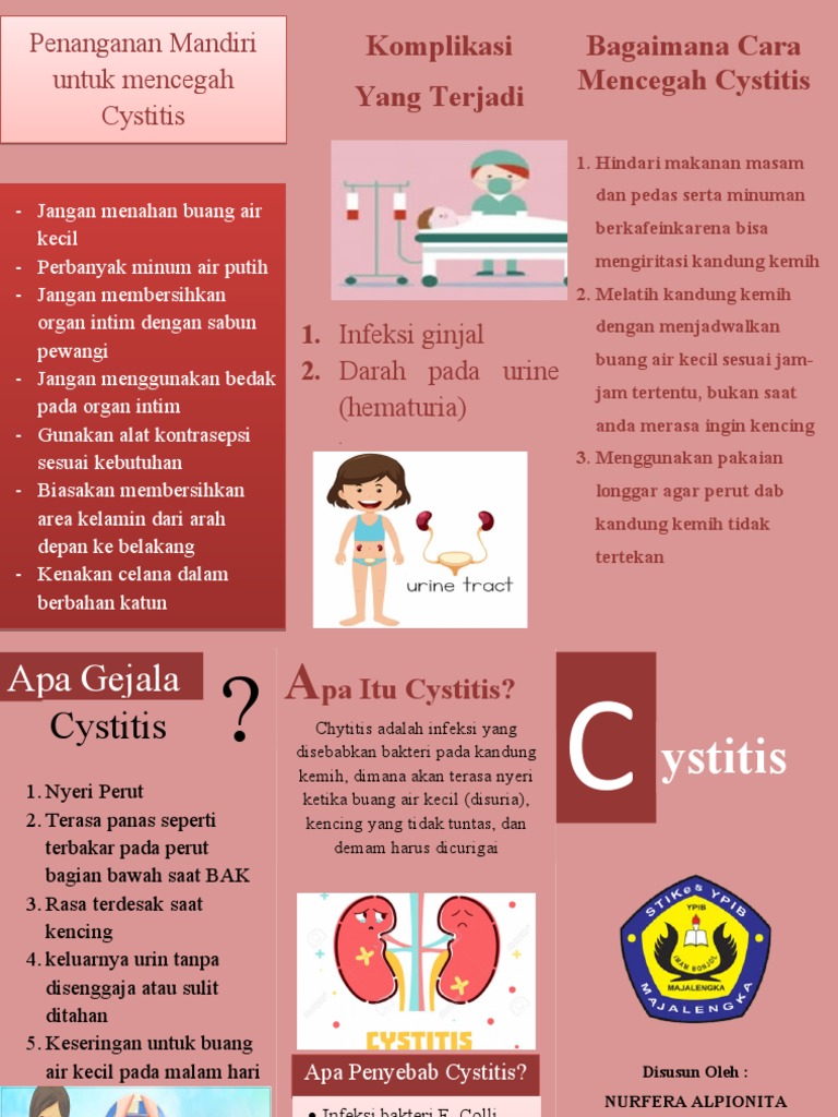 Leaflet Cystitis | PDF