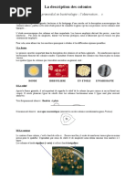 Sporulation et structure des spores bactériennes | PDF | Spore | Biologie