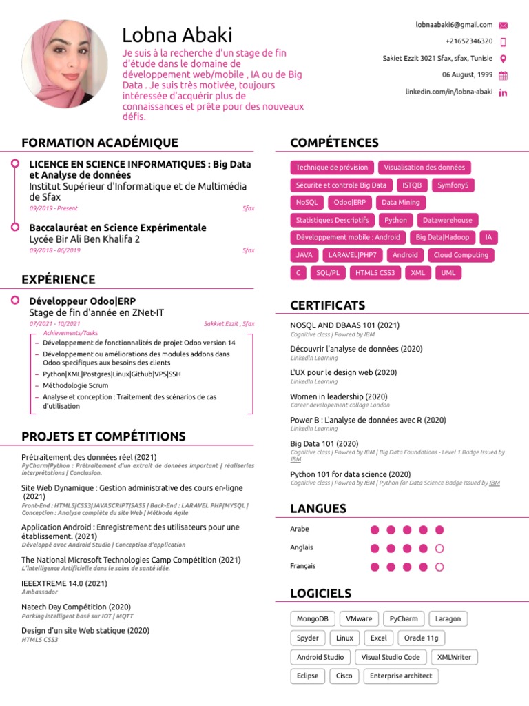 Stage en Développement Web/IA/Big Data | PDF | Logiciel | Âge de l'information