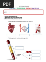 Modul Ajar Ipa Sistem Peredaran Darah | PDF