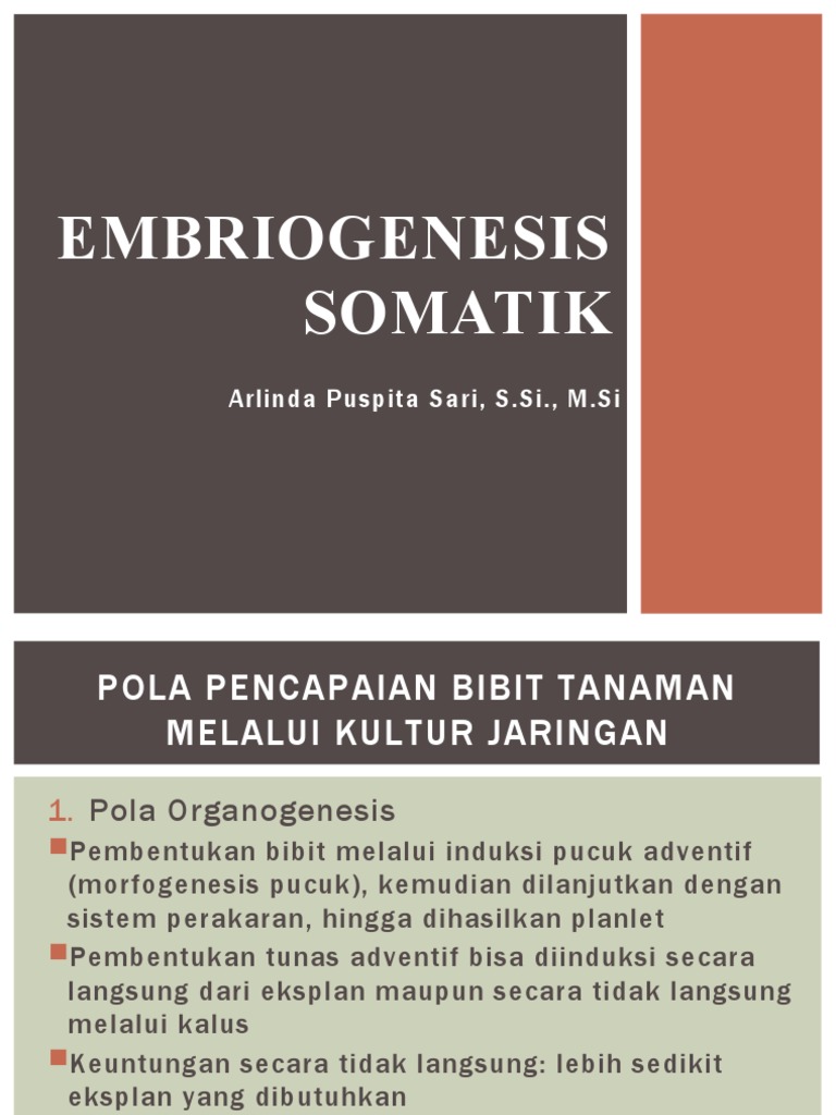 Embriogenesis Somatik: Pola dan Aplikasi | PDF | Pengembangan Diri ...
