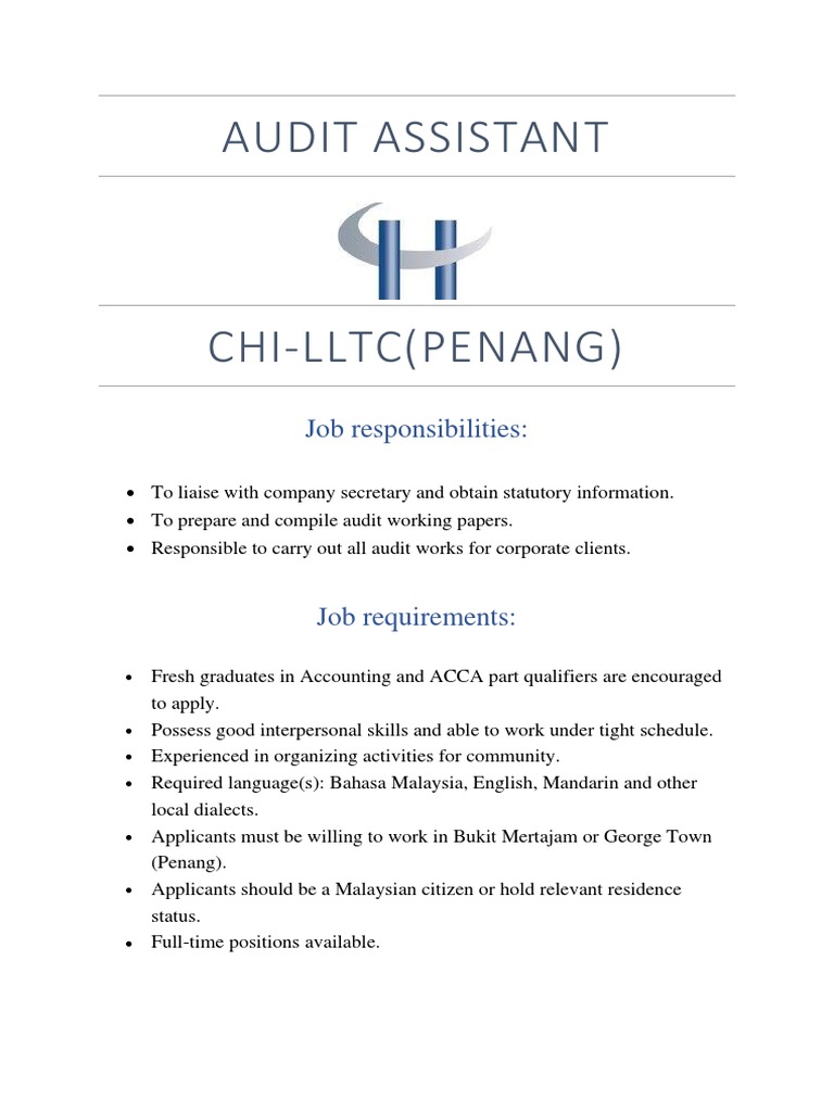 Audit Assistant: Job Responsibilities | PDF