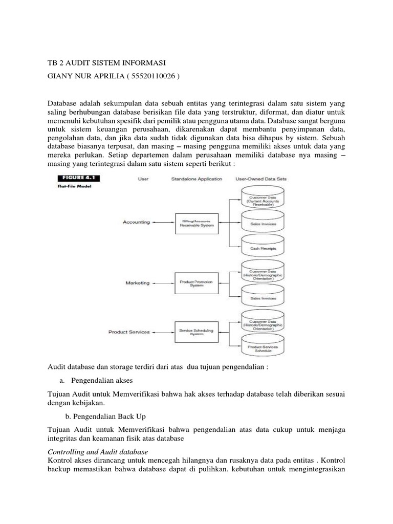 TB 2 Audit Sistem Informasi Audit Database Dan Storage - Giany Nur ...