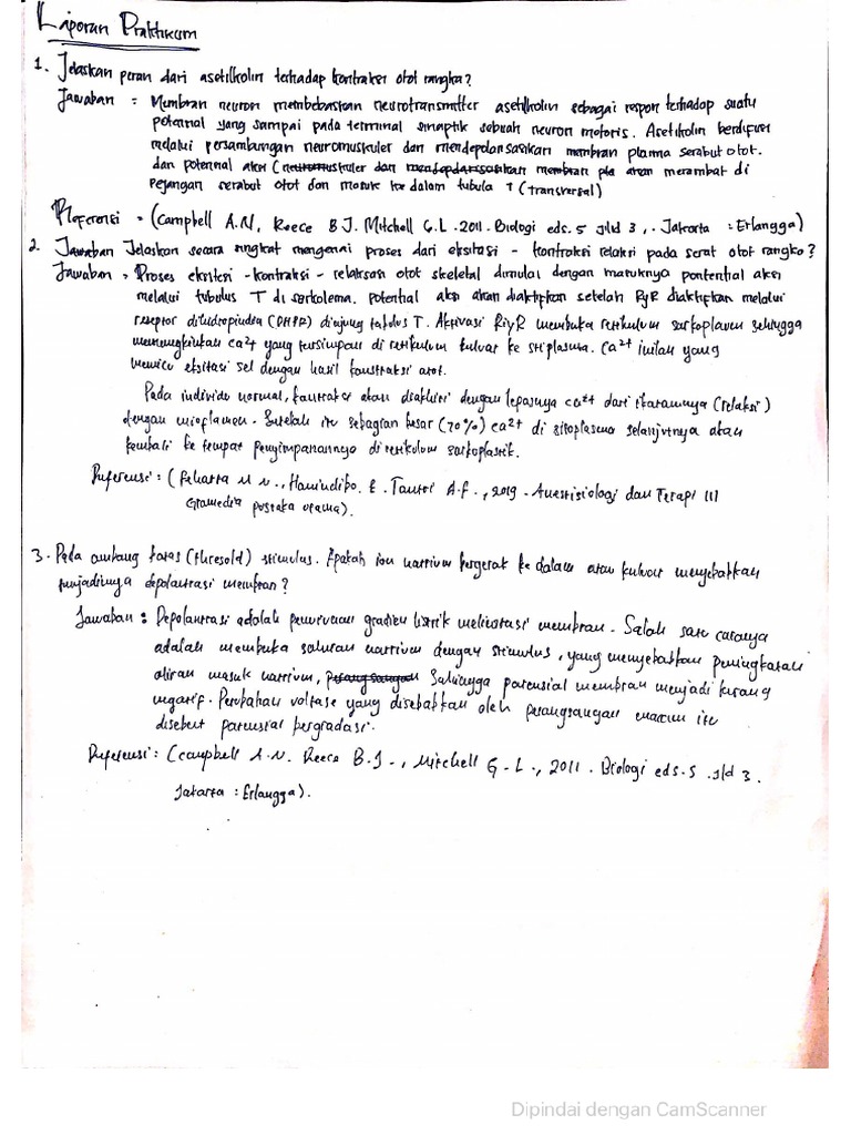 Laprak | PDF