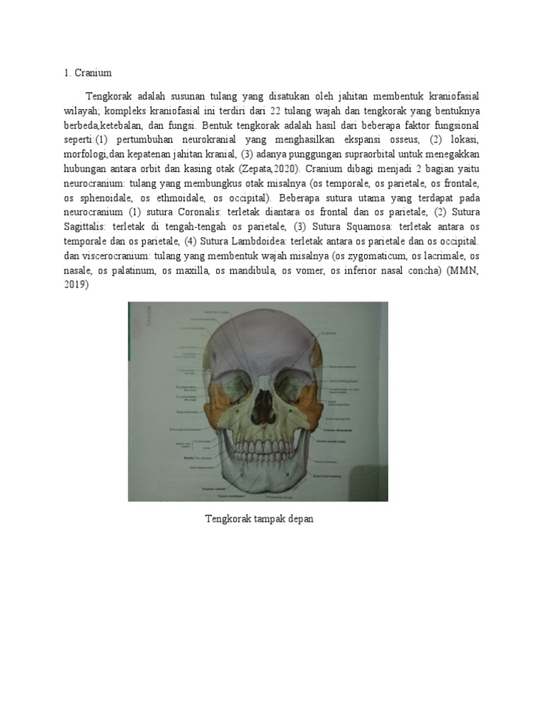 Anatom | PDF | Kajian Bahasa Asing | Kesehatan Holistik