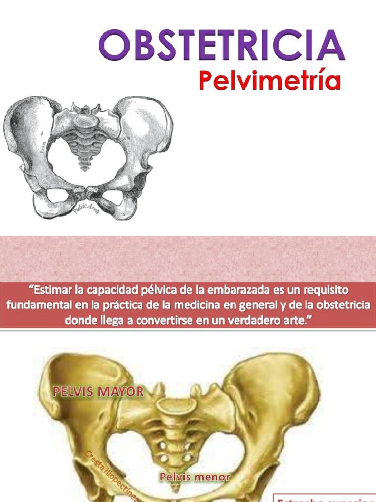 Pelvimetria | PDF