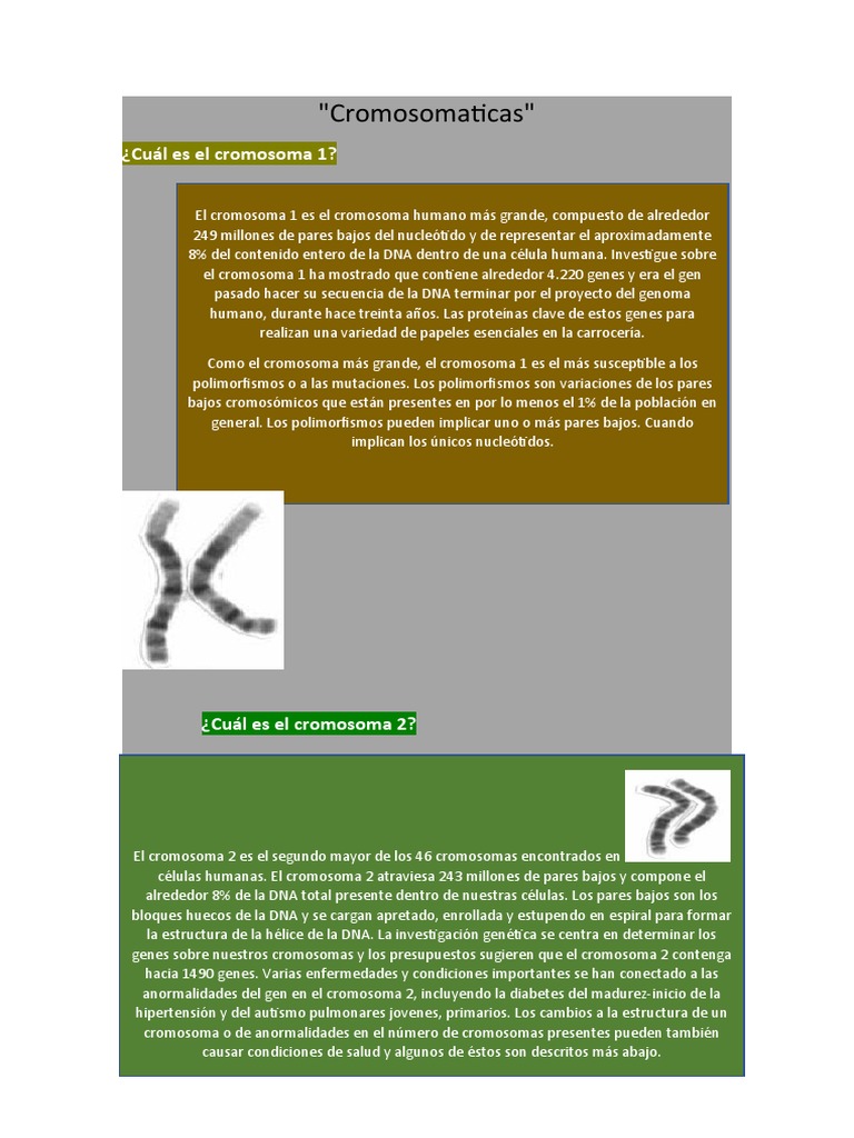 Cromosomaticas (Biologia) | PDF | Cromosoma | Gene
