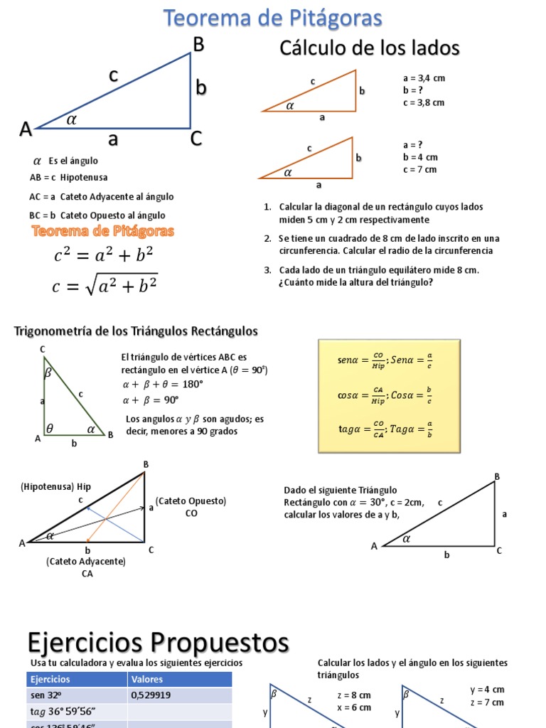 Fisica Guia 2# | PDF | Triángulo | Vector Euclidiano