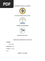 Soletrol: Indicaciones y Composición | PDF