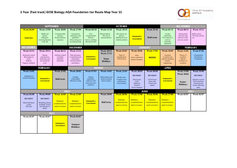 1 Year (Fast Track) GCSE Biology AQA Foundation Tier Route Map Year 11 ...