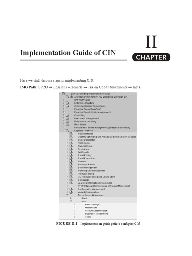 CIN Customization | PDF | Excise | Taxation