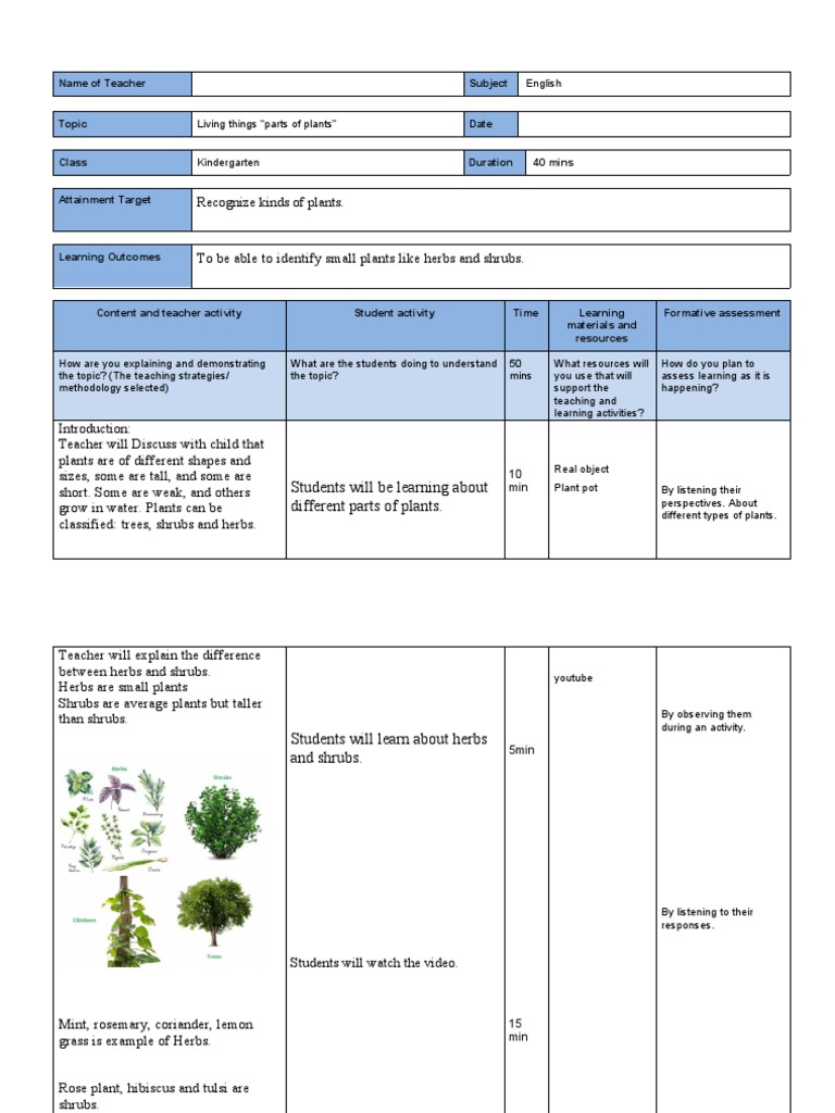'Parts of Plants' Kindergarten Planner | PDF | Teachers | Learning
