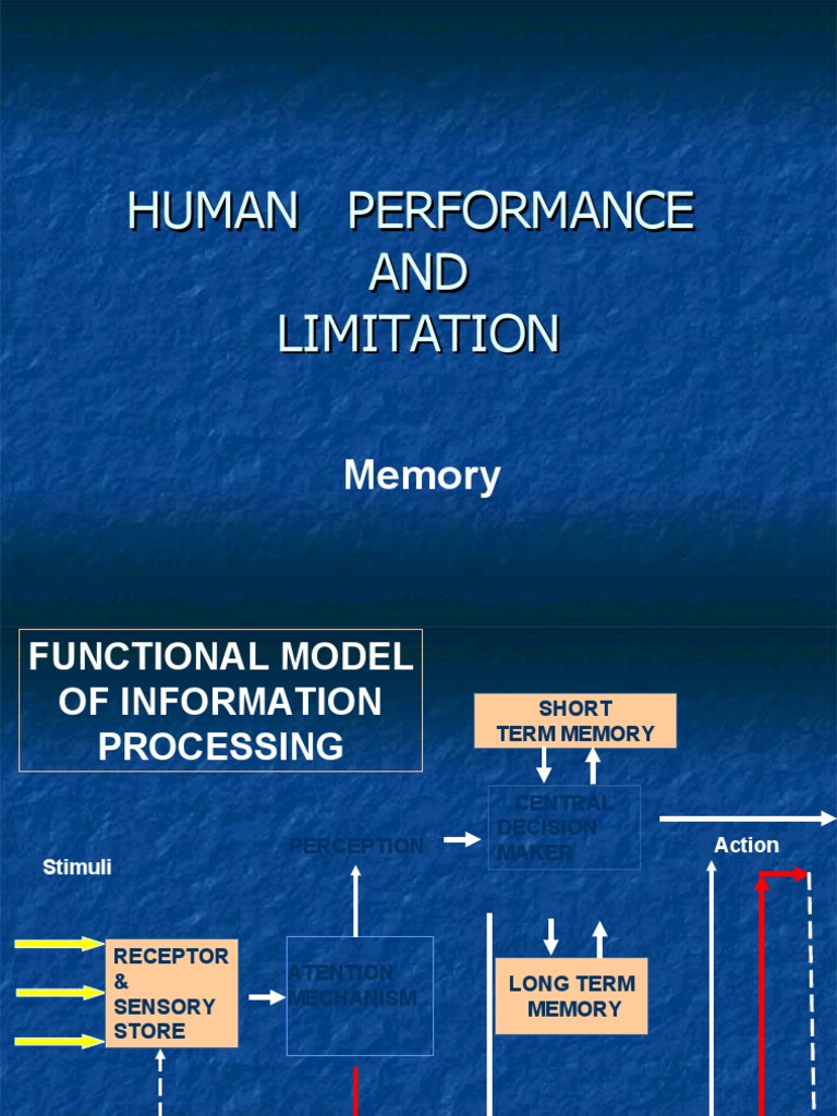 Human Performance AND Limitation | PDF | Memory | Perception