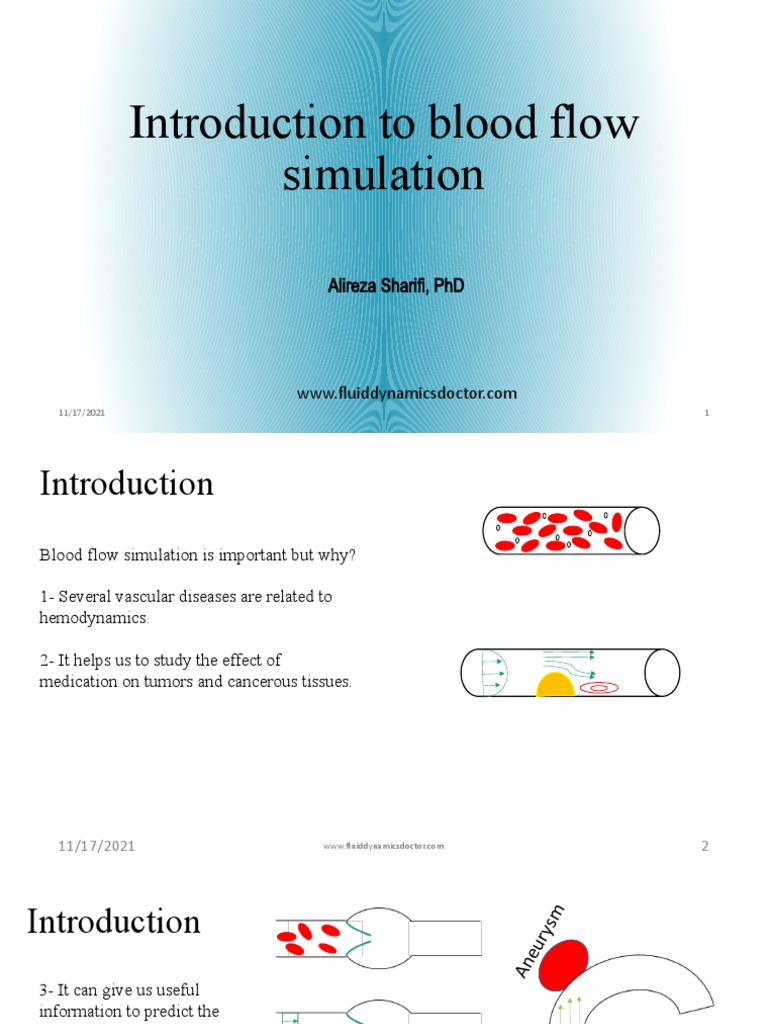 Introduction To Blood Flow Simulation | PDF | Shear Stress | Hemodynamics