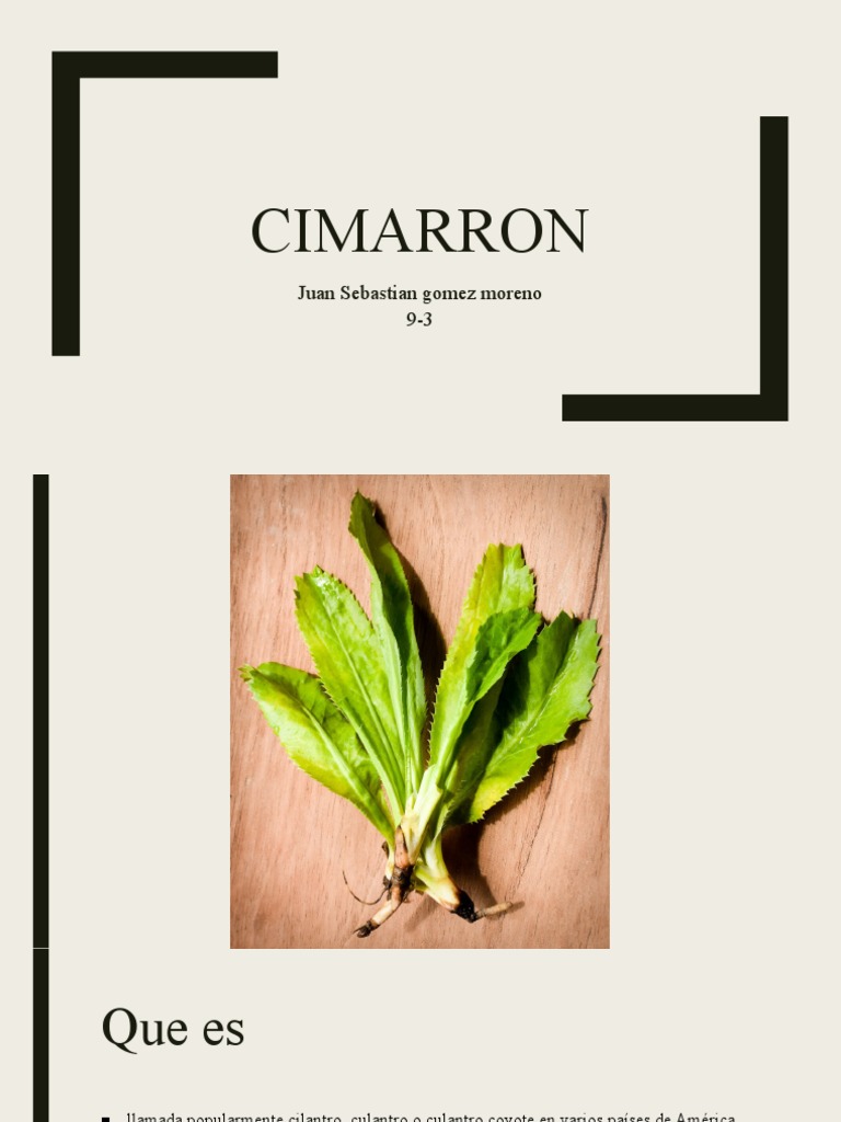 Cimarron | PDF | Cocina, comidas y vino | Hogar y jardín