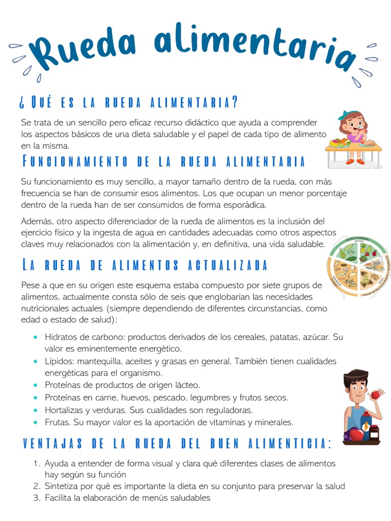Rueda Alimentaria | PDF | Alimentos | Dieta