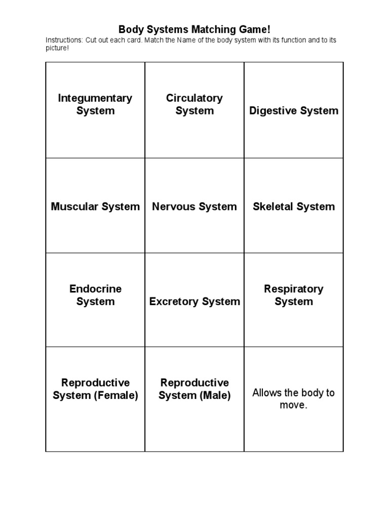 Body System Card Sort | PDF | Human Body | Organ (Anatomy)