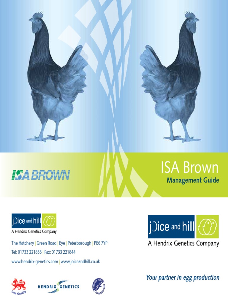 ISA Brown Management Guide | PDF | Magnesium | Vitamin