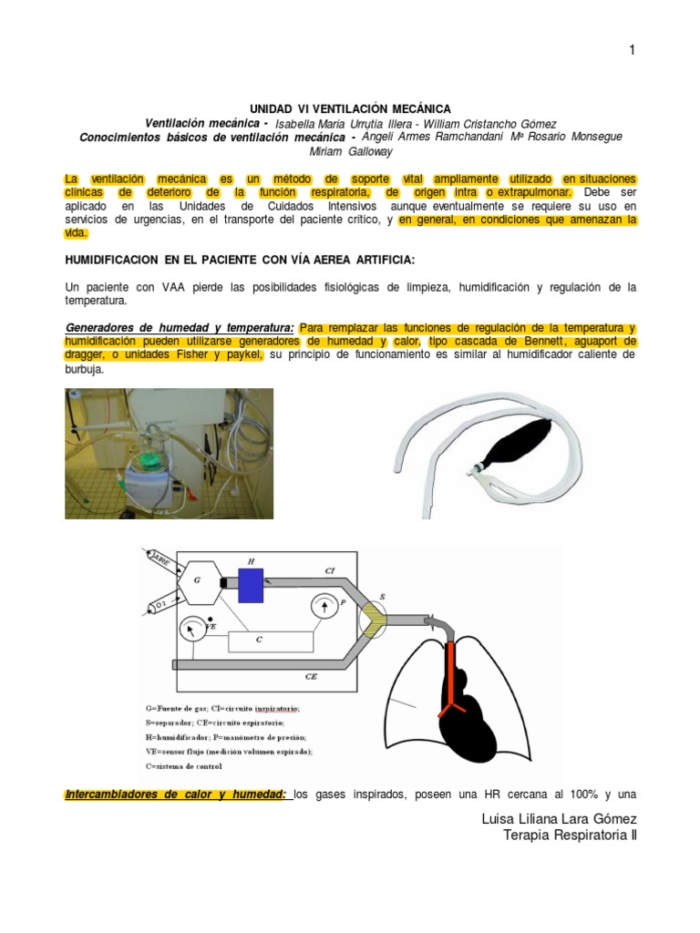 Ventilacion Mecanica | PDF | Sistema respiratorio | Respiración