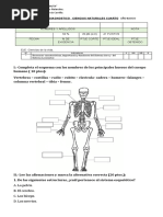 Evaluación de Ciencias (Cuerpo Humano, Esqueleto) | PDF