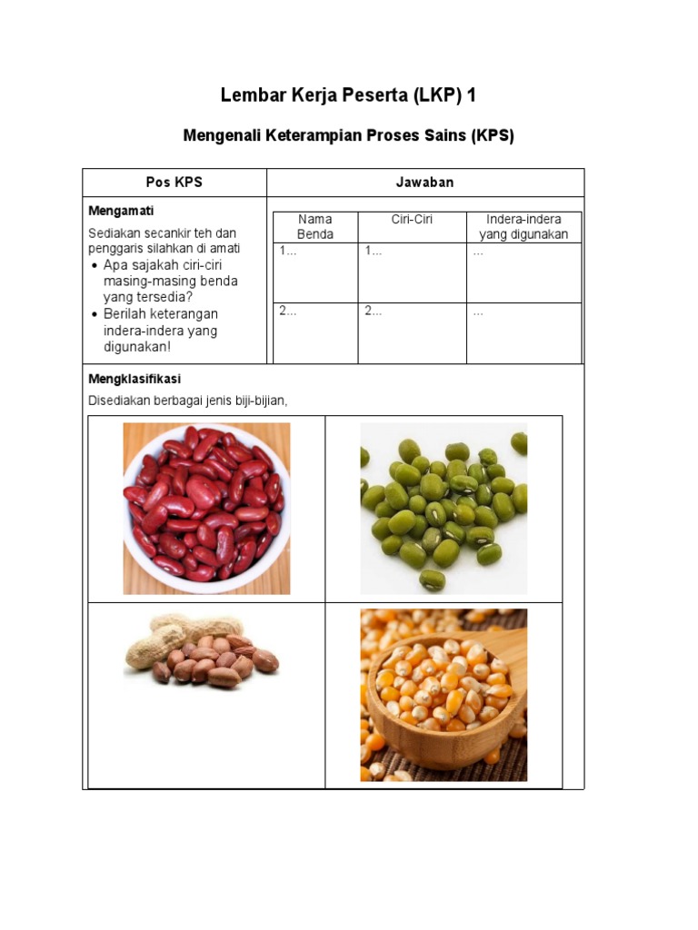 LKP 1. Keterampilan Proses | PDF