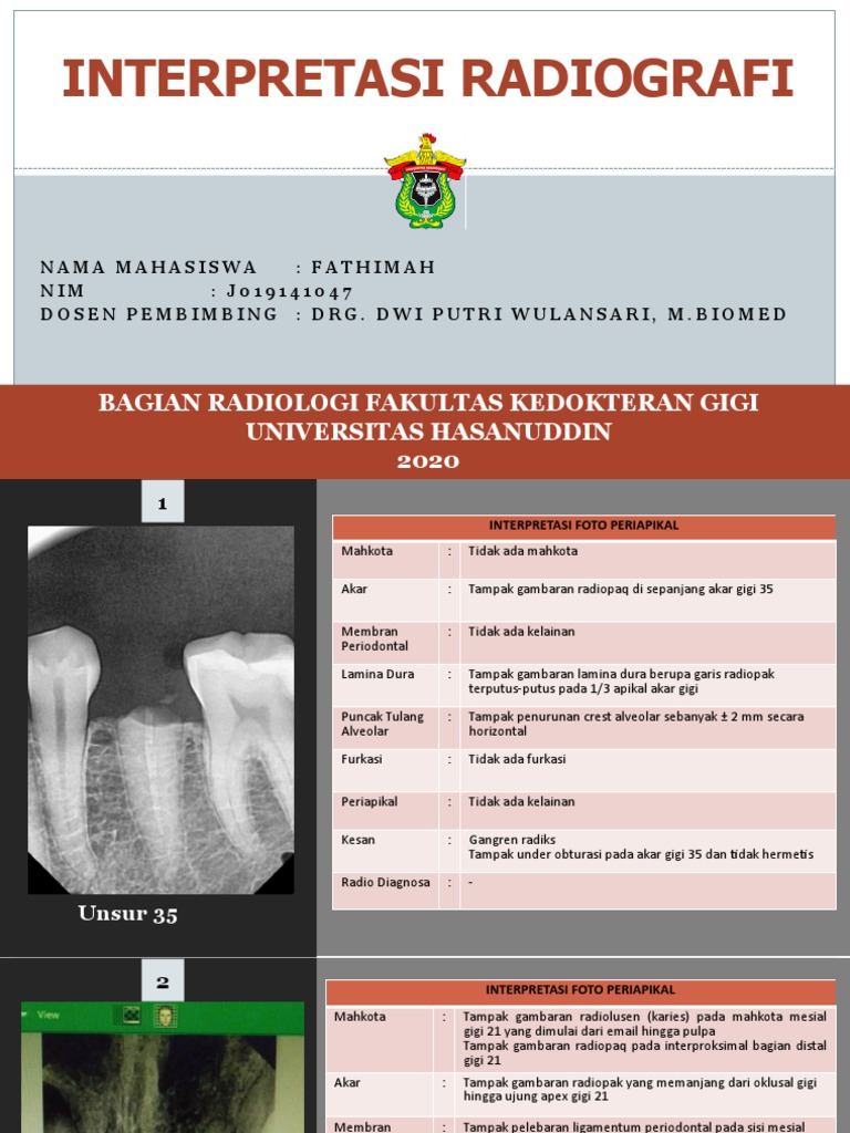Contoh Interpretasi Panoramik | PDF