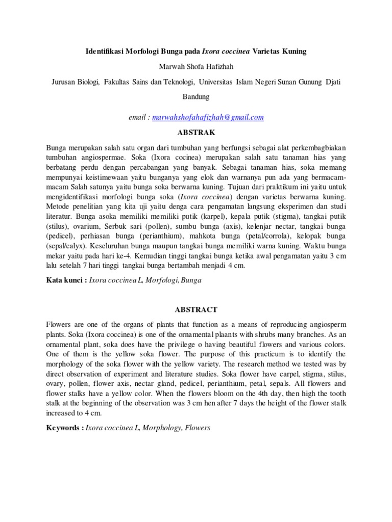 Laporan Morfologi Bunga Soka | PDF