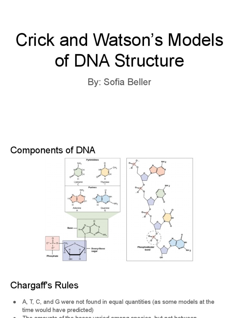 Crick and Watson's Models of DNA Structure | PDF | Social Science ...