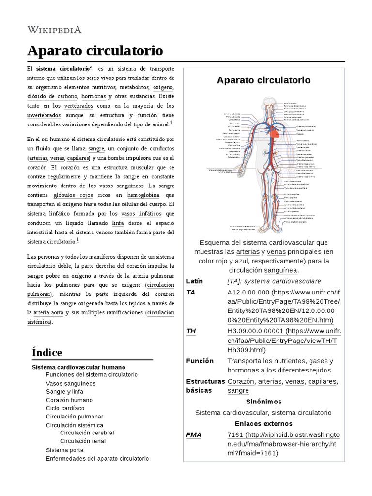 U1 PP 12 Sistema Circulatorio | PDF | Sistema circulatorio | Corazón