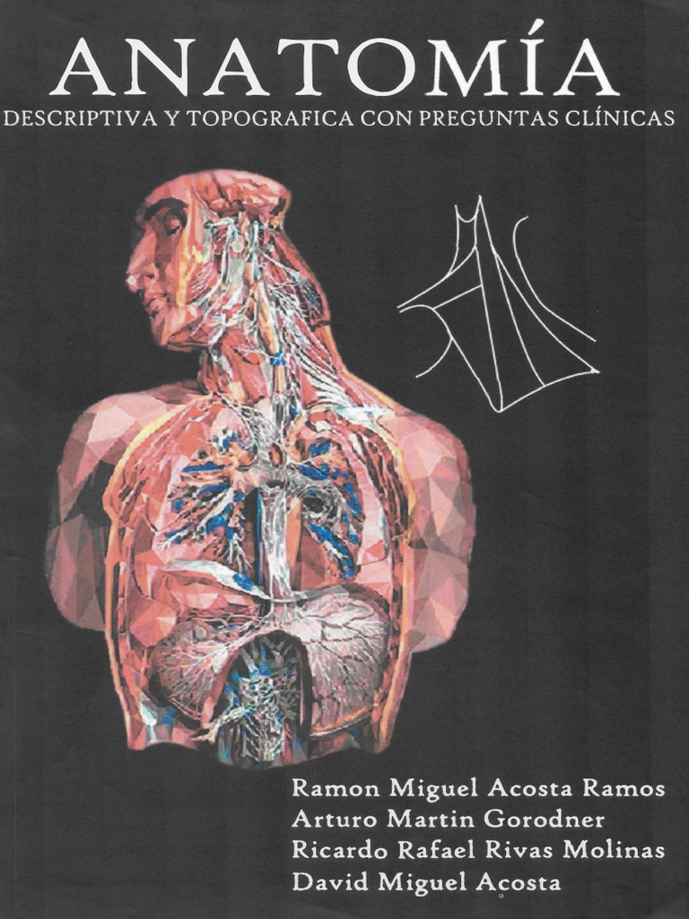 Anatomia Descriptiva y Topográfica Com Preguntas Clínicas | PDF ...