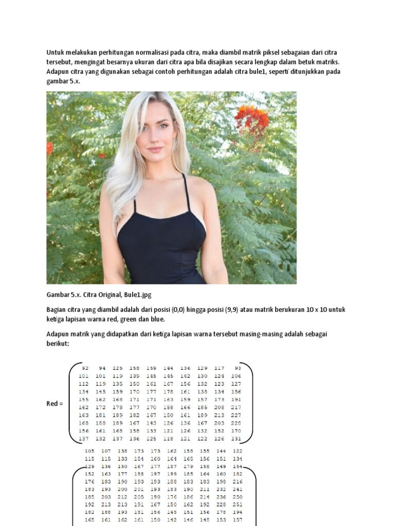 Data Matriks Citra Asli, Resize, Normalisasi, Cropping Dan Deteksi ...
