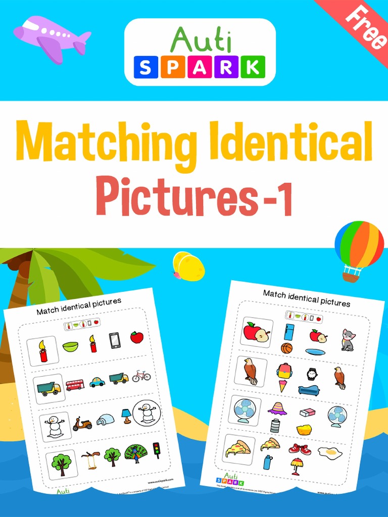 29 Matching Identical Pictures 1 | PDF