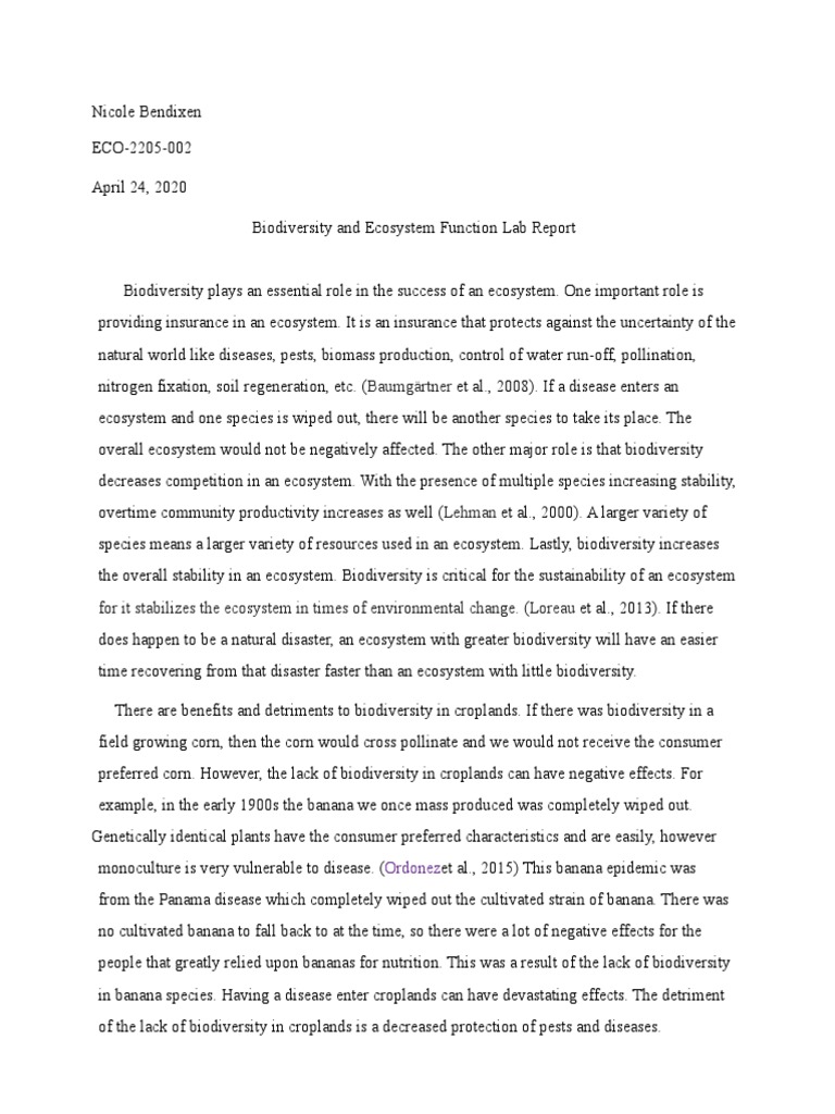 Final Plant Diversity Lab Report | PDF | Biodiversity | Cucurbita